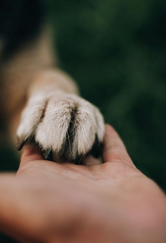 PERMUTACIÓN by Patricia Collazo – Masticadores