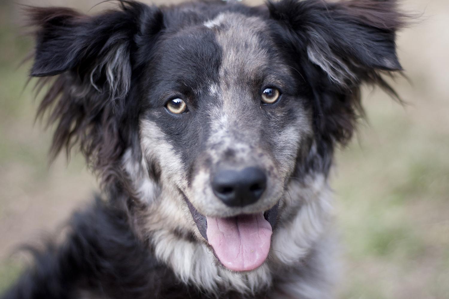 MERUCA,GUSAPARÍN Y MARABAYO by Nohelia Alfonso – Masticadores